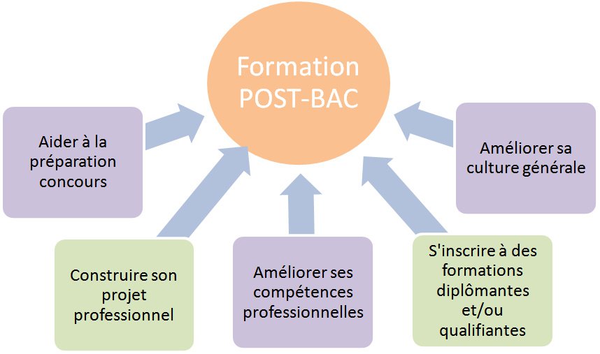 Formation Post-bac - Année de Spécialisation